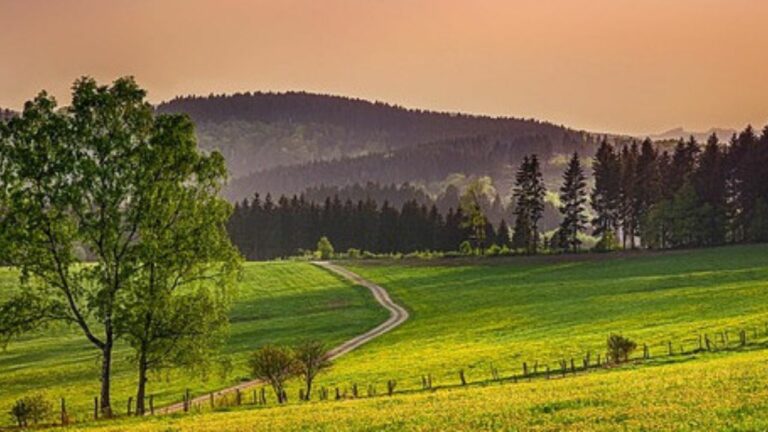 What is Bergland in Austria? - Diane Wine Voyage