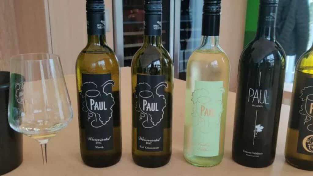 What is the leading grape variety of Austria? - Diane Wine Voyage