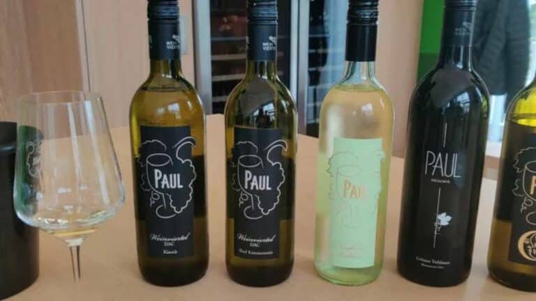 What is the leading grape variety of Austria? - Diane Wine Voyage