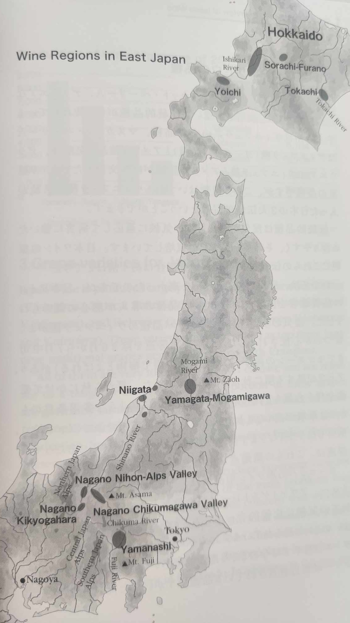 Japanese Wine History - Diane Wine Voyage
