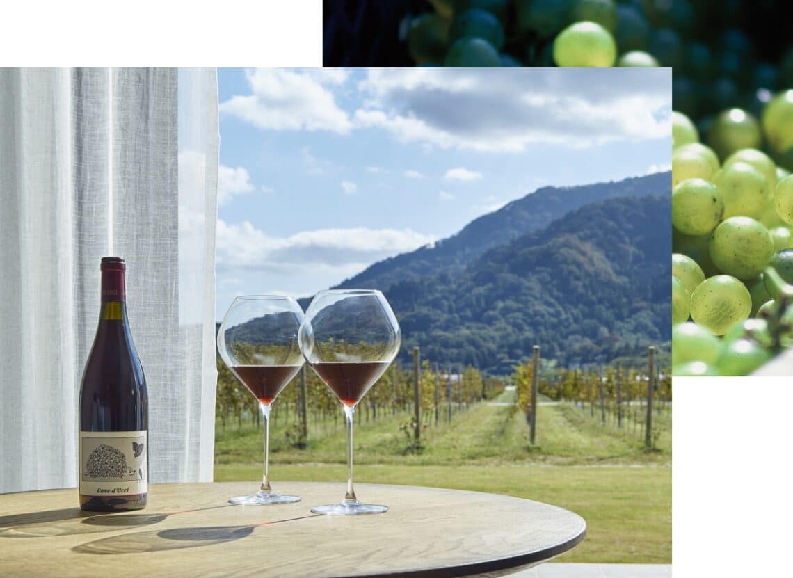 What are some good Japanese wines? - Diane Wine Voyage